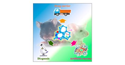 Biological Application Of Porous Aromatic Frameworks State Of The Art