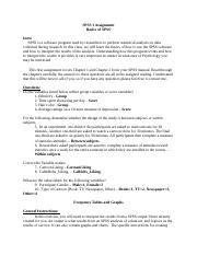 SPSS Docx SPSS Assignment Basics Of SPSS Intro SPSS Is A Software Program Used By