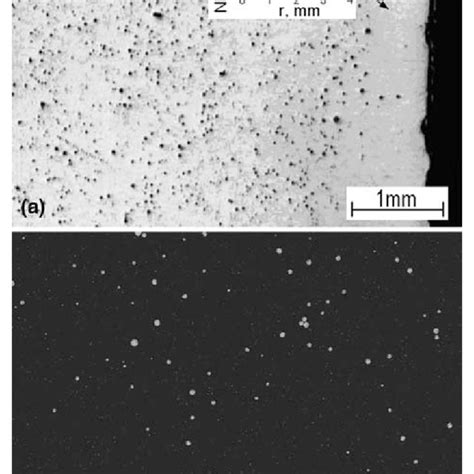 Pdf Microstructure Formation In A Directionally Solidified Immiscible Alloy