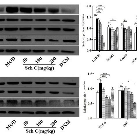 A And B Opls Da Score Plot And Permutation Score Plot Of Serum