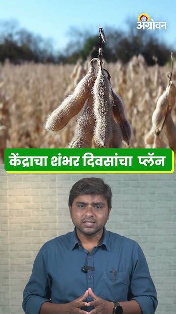 Soybean Market Rate सोयाबीनच्या भाववाढीसाठी सरकार काय प्रयत्न करणार