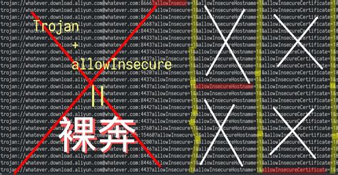 有关 Trojan 关闭证书验证的安全警示 Telegraph