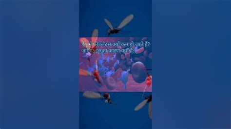 Dengue में प्लेटलेट्स क्यों कम हो जाते हैं Platelet Decrease In Dengue