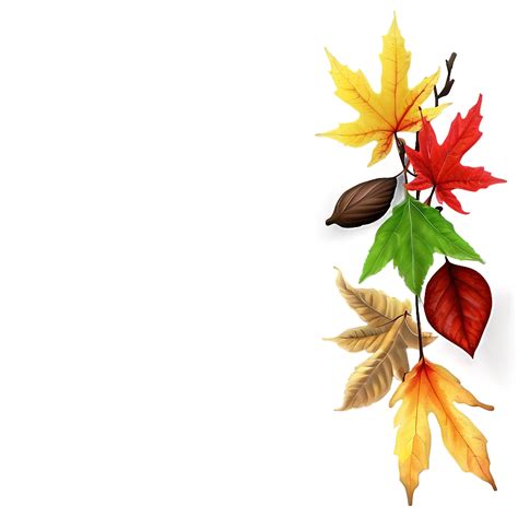 Autumn Leaves Border Png Ycc PNG Image