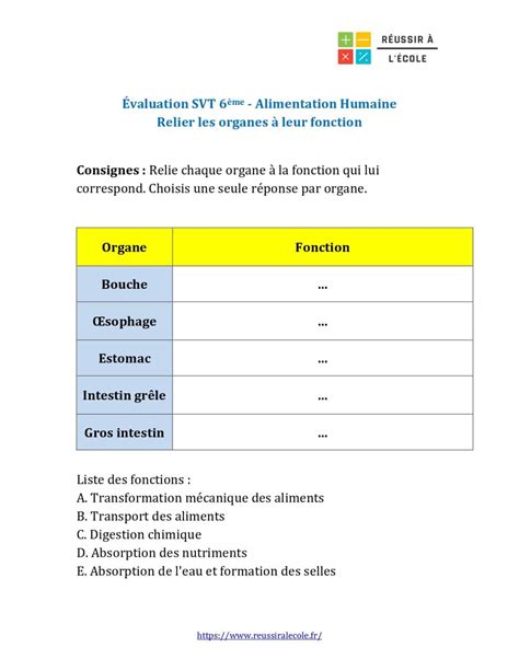 Évaluation Svt 6ème Alimentation Humaine Pdf Avec Correction
