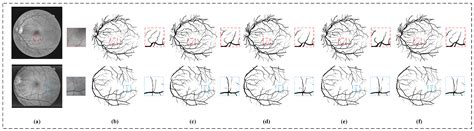 Sensors Free Full Text CPMF Net Multi Feature Network Based On