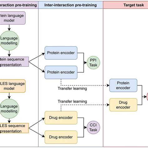 The Framework Architecture Of The C2p2 Model First The Protein