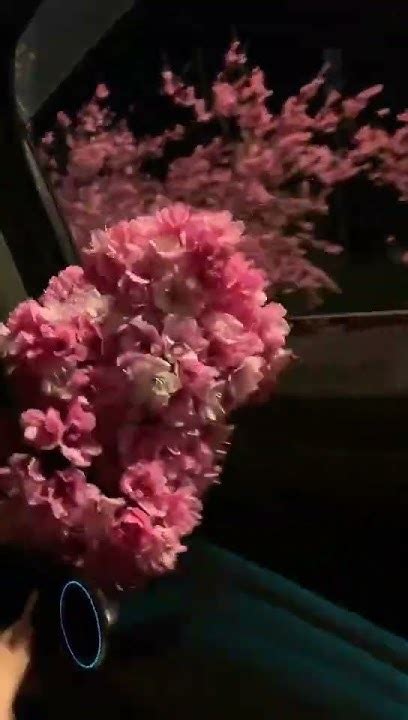 энэ цэцэг үнэхээр үзэсгэлэнтэй~ Youtube