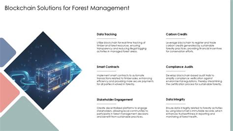Blockchain Solutions For Forest Management Crypto Forestry Ppt Example