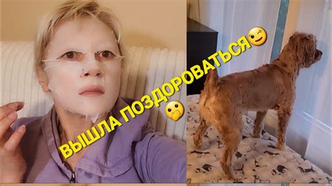 НЕ ЛЮБЛЮ ЗАГЛЯДЫВАТЬ В ЧУЖИЕ ОКНА НАРЕВЕЛАСЬ НЕ ИЩИ ПРОБЛЕМ ДОМОХОЗЯЙКА США Youtube