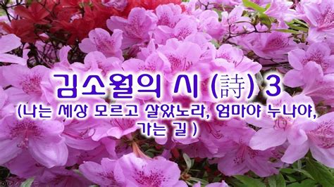 김소월의 시 3나는 세상 모르고 살았노라 엄마야 누나야 가는길 Youtube