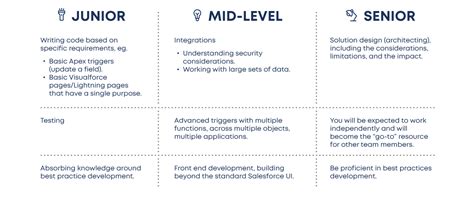 What Does A Salesforce Developer Do In Agilcon Agilcon Salesforce Platinum Partner Gecko Hrm