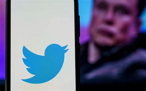 Elon Musk Renunciará Como Ceo De Twitter Tras Perder Encuesta Grupo