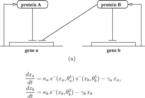 table 1 from parallel model checking large scale genetic regulatory