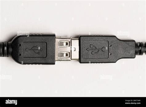 Usb Cable Connectors Close Up Isolated On White Background Connecting Concept Stock Photo Alamy