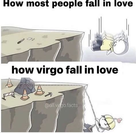 55 Best Virgo Memes That Describe This Zodiac Sign Artofit