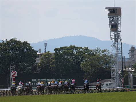 【jra】東京開催で有観客競馬を再開 競馬ニュース Netkeiba
