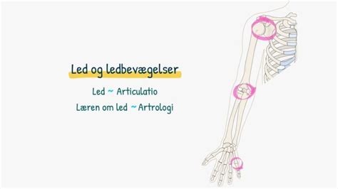 Optimera Ditt Hem Med LED Kapslar Actualizado Juni 2025