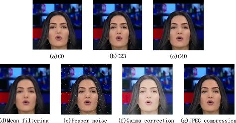 Figure 3 From Detecting Deepfakes In Alternative Color Spaces To Withstand Unseen Corruptions