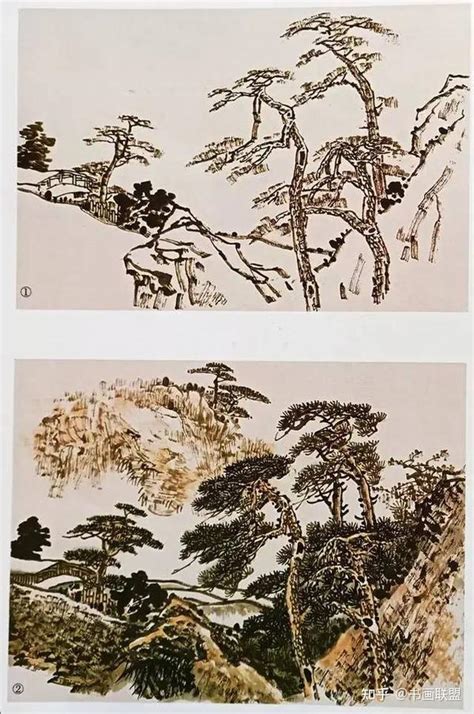 国画技法 松树的各种画法 知乎