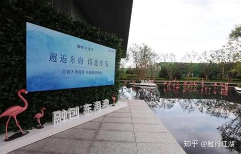惬意东海湾夏日避暑的正确打开方式 知乎