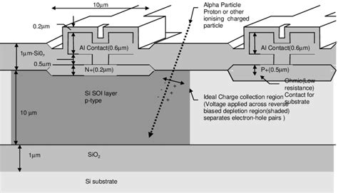 Detailed Cross Section Of Diode Array With Approximate Dimensions
