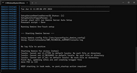Hcl Domino Rest Api の使い方：① 環境構築編