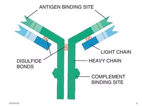 Multiple Myeloma Ppt