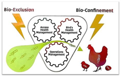 Poultry Management And Biosecurity Measures Pashudhan Praharee