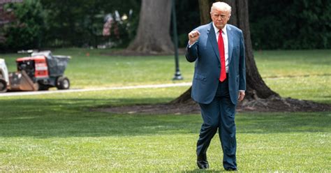 Is Donald Trump Wearing A Catheter Or Did His Bulge Show At Ufc Fight