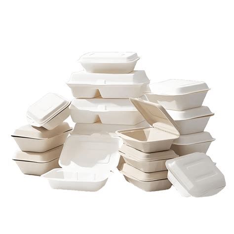 What Is Bagasse And Used For