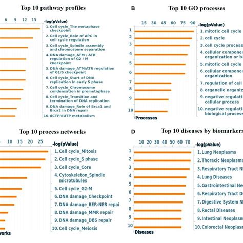 A Top 10 Pathway Profiles B Top 10 Go Processes C Top 10 Download Scientific Diagram