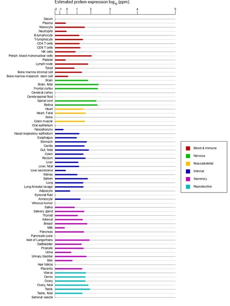 Dync1h1 Gene Genecards Dyhc1 Protein Dyhc1 Antibody