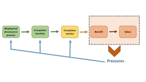 Framework Of Ecosystem Services Framework Showing The Relation Between