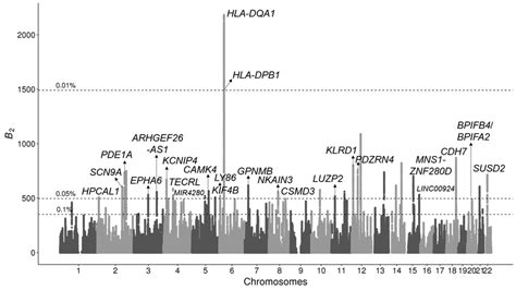manhattan plot displaying b 2 scores across the 22 human autosomes for