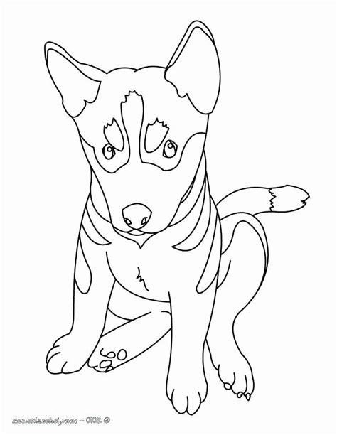 Ment Dessiner Un Chien Mignon Inspirant Coloriage Chien En 2024
