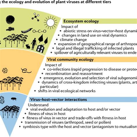 Pdf Plant Virus Host Interaction Plant Virus Host Interaction