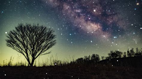 20분 안에 잠을 자게하는 기적의 음악 힐링음악 잠잘오는음악 잠오는 음악 지금 당장 자야 한다면 들어야 하는 수면