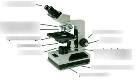 A P Lab Diagram Quizlet
