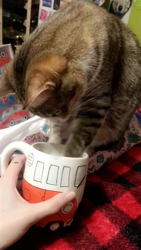 Miss Anna Gables Home Facebook