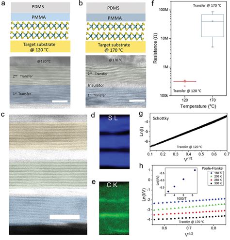 Heterostructure Fabrication And Characterization Ab Schematic And