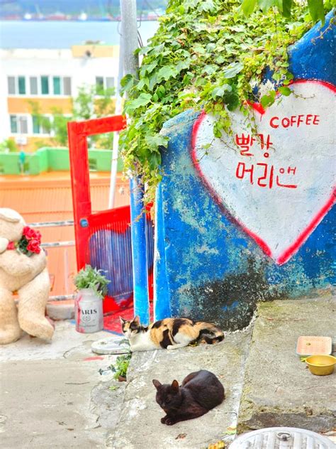 목포 가볼만한곳 연희네 슈퍼 서산동 시화골목 네이버 블로그