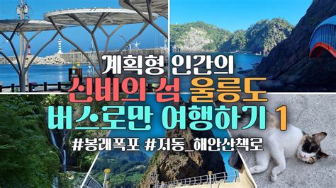 🚌버스만 타고 혼자 울릉도 여행 1편 봉래폭포행남해안산책로저동 Youtube