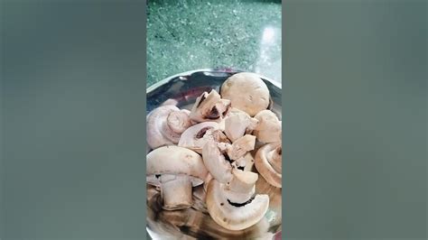 Mushroom Cleaning 🍄 Shorts Viral Mushroom Mnnuvlog E7z Trending