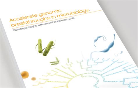 Microbial Sequencing Methods