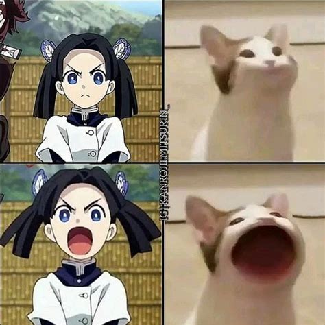 Demon Slayer Anime Divertente Divertente Anime