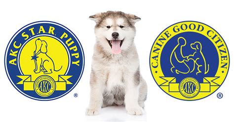 Test Items Pledge American Kennel Club