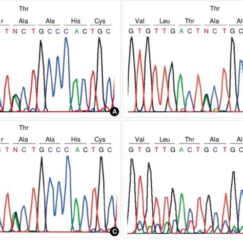 The Results Of Nucleotide Sequencing Analysis From Three Patients With Download Scientific
