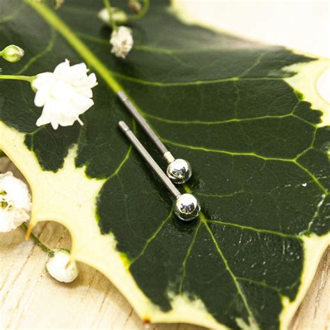 2mm Silver Ball Stud Earrings Earsense Earrings For Sensitive Ears