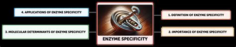 Enzyme Specificity Algor Cards